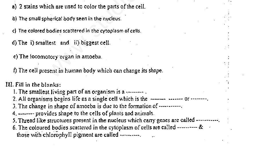 CBSE Class 8 Science Cell Structure and Functions Assignment